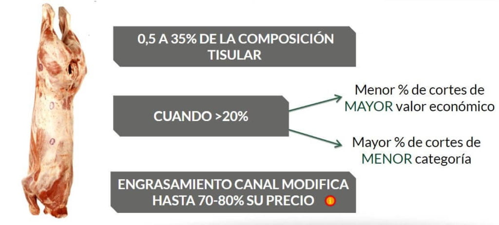 Grasa intramuscular bovina y porcina: marmolado vs. veteado - Agroglobal